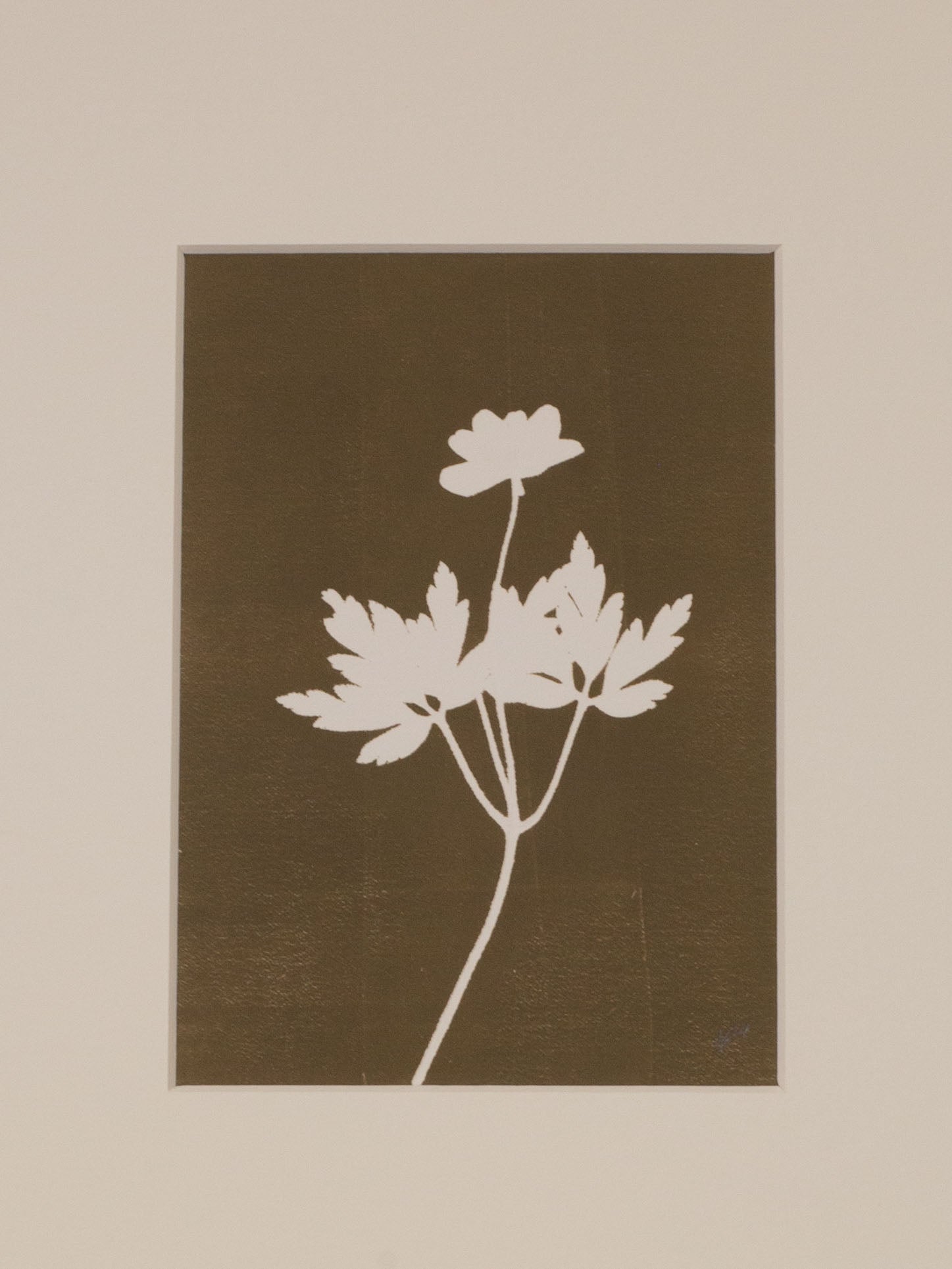 Mounted Original Prints – Page 2 – Alicia Breakspear