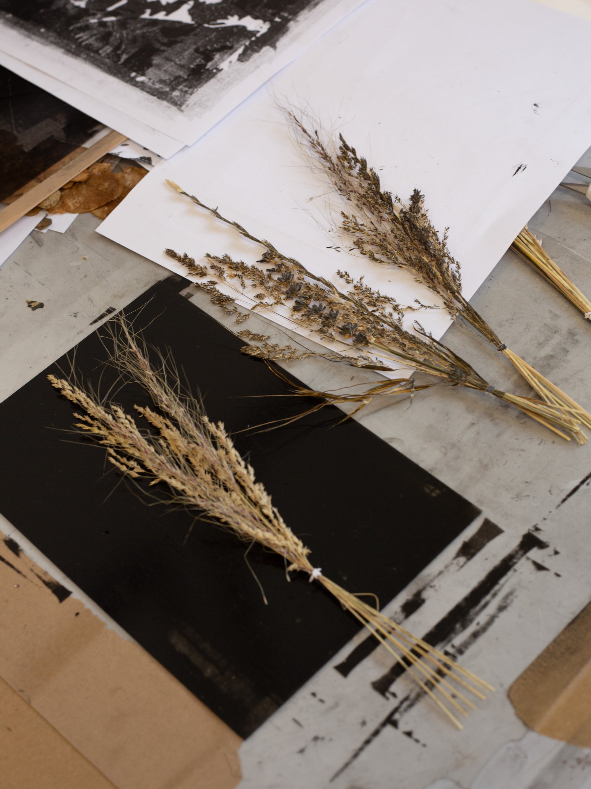 Shop All Prints – Alicia Breakspear