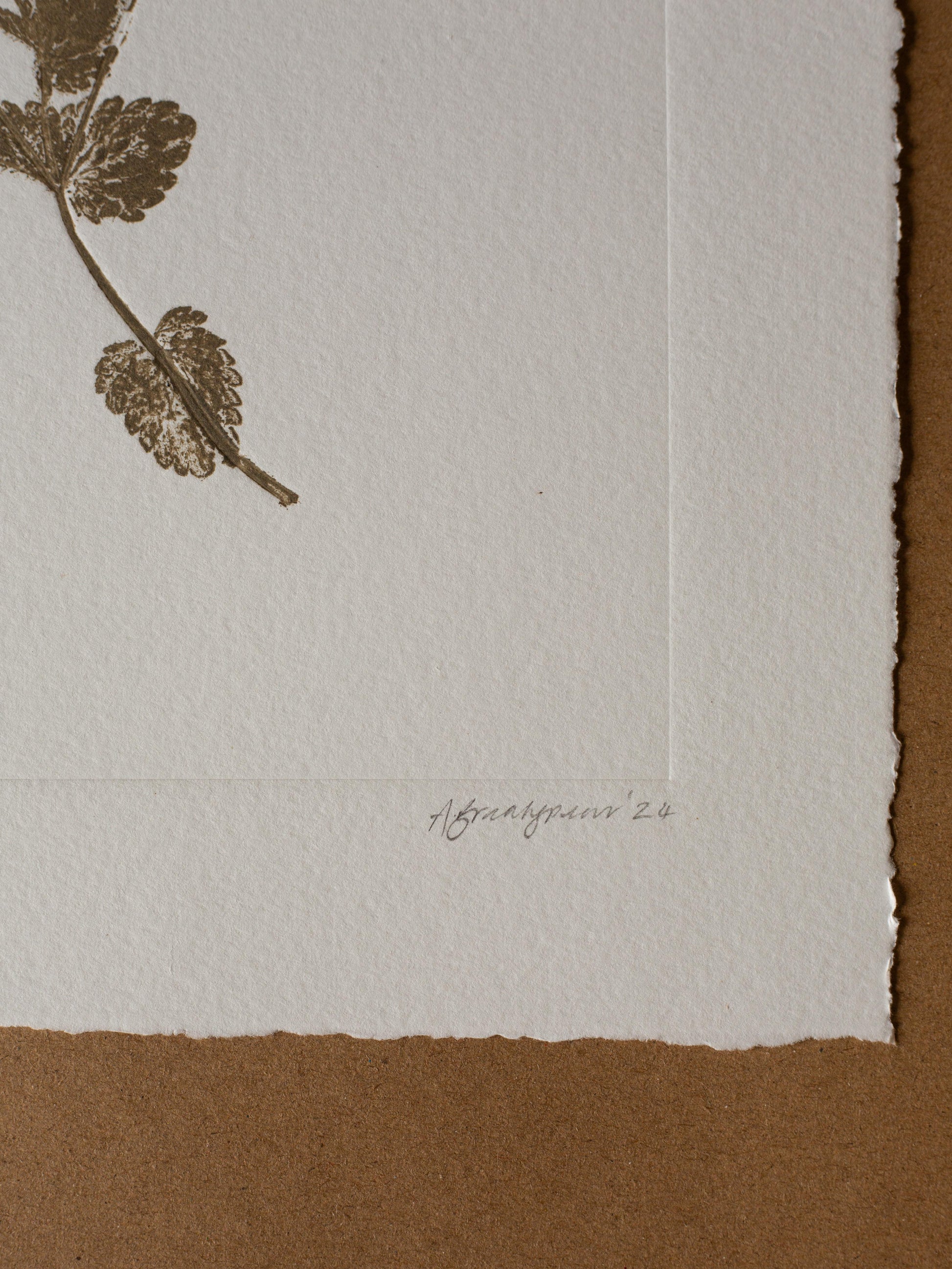 Speedwell 2, Monoprint, Original Botanical Print – Alicia Breakspear