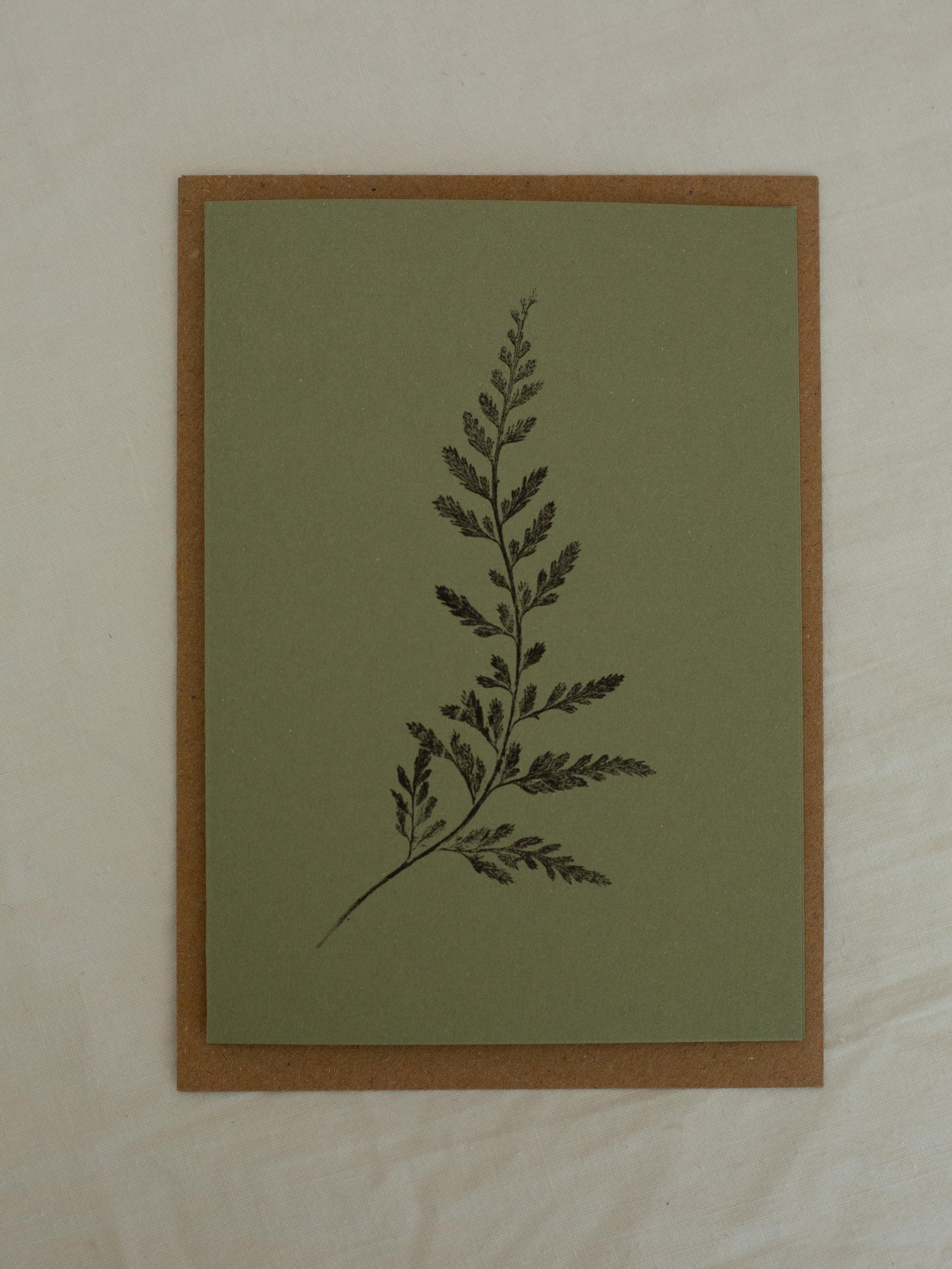 Botanical Greeting Cards Moss Green A6 – Alicia Breakspear