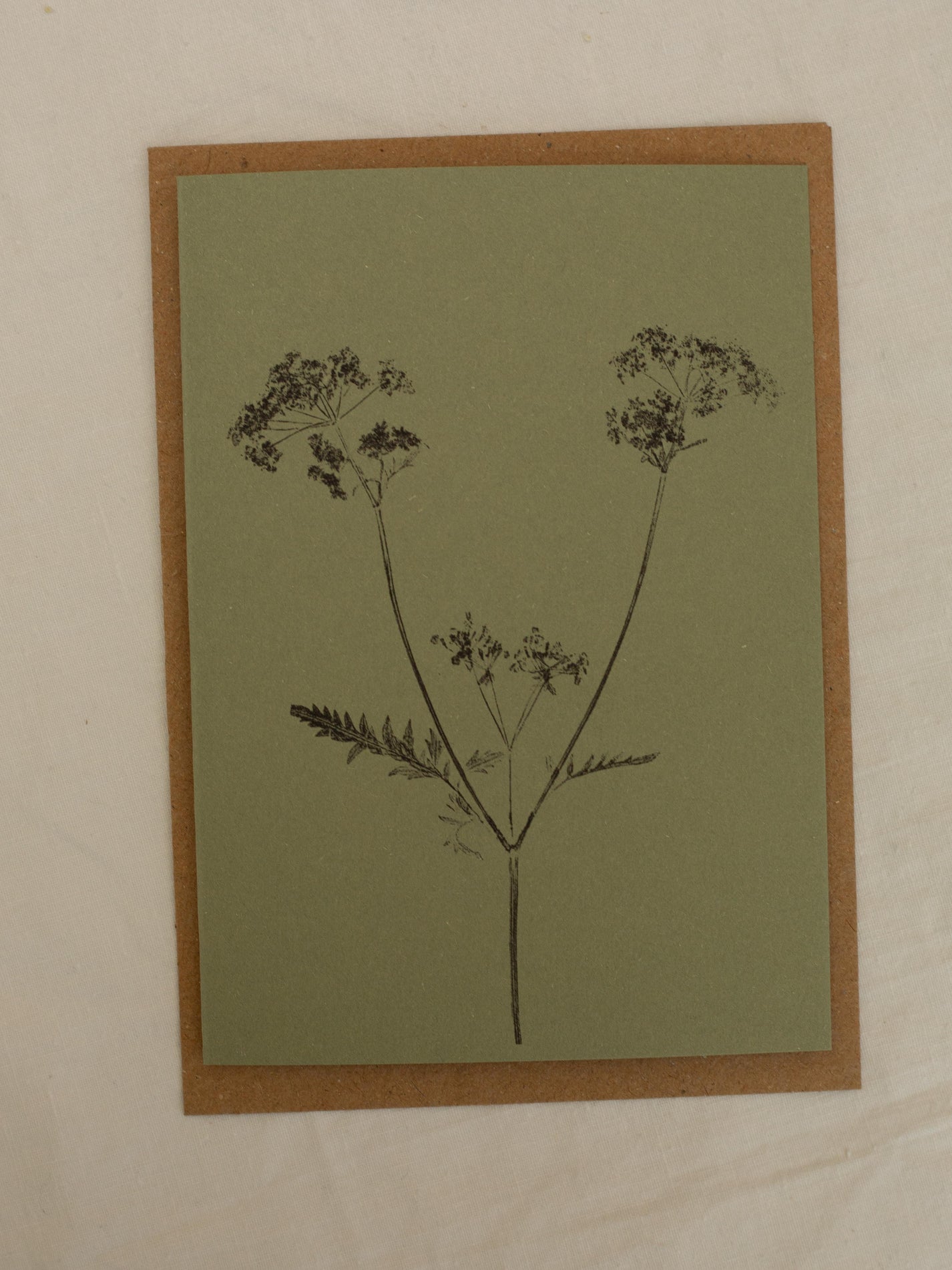 Botanical Greeting Cards Moss Green A6 – Alicia Breakspear