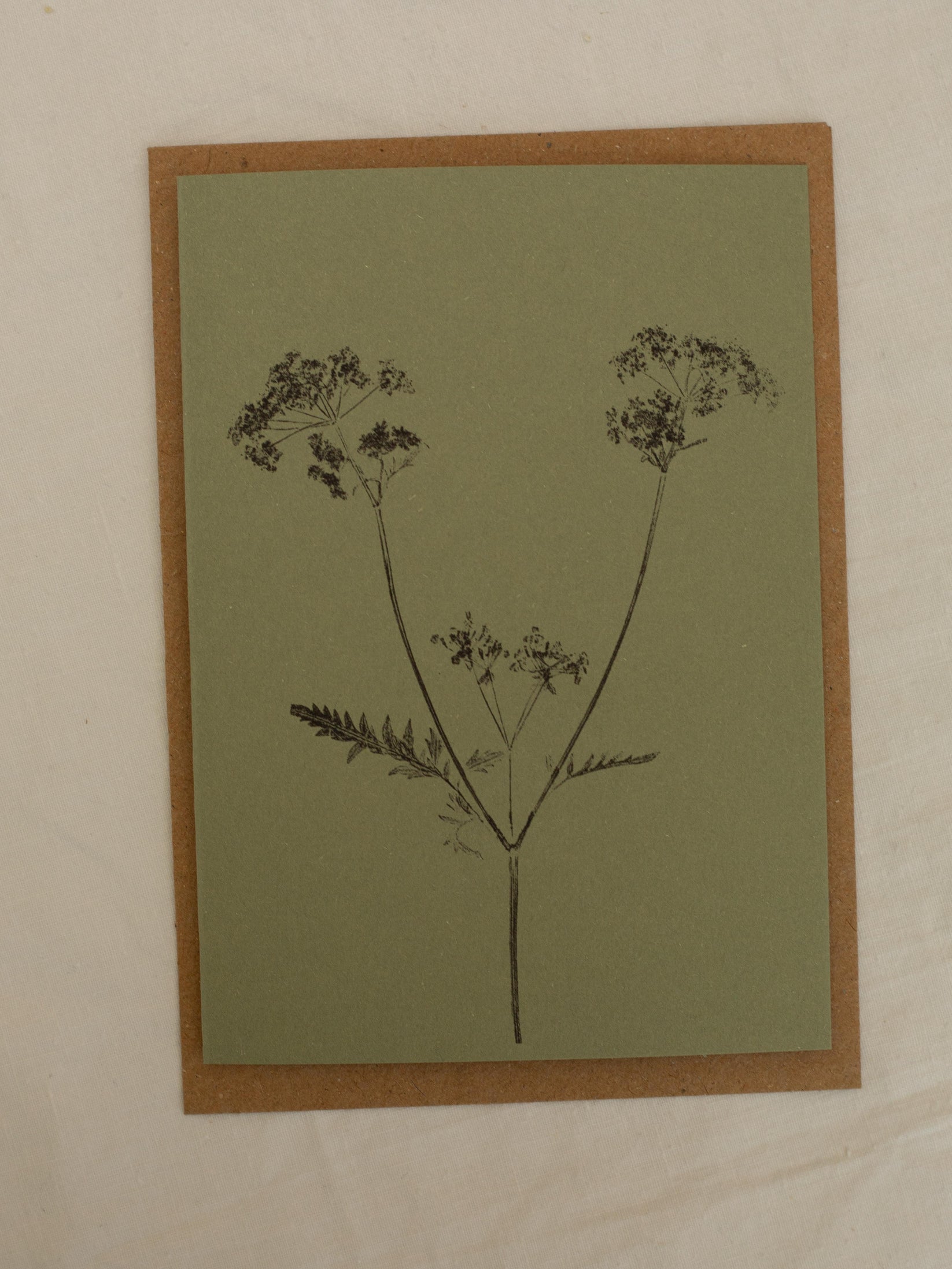 Botanical Greeting Cards Moss Green A6 – Alicia Breakspear