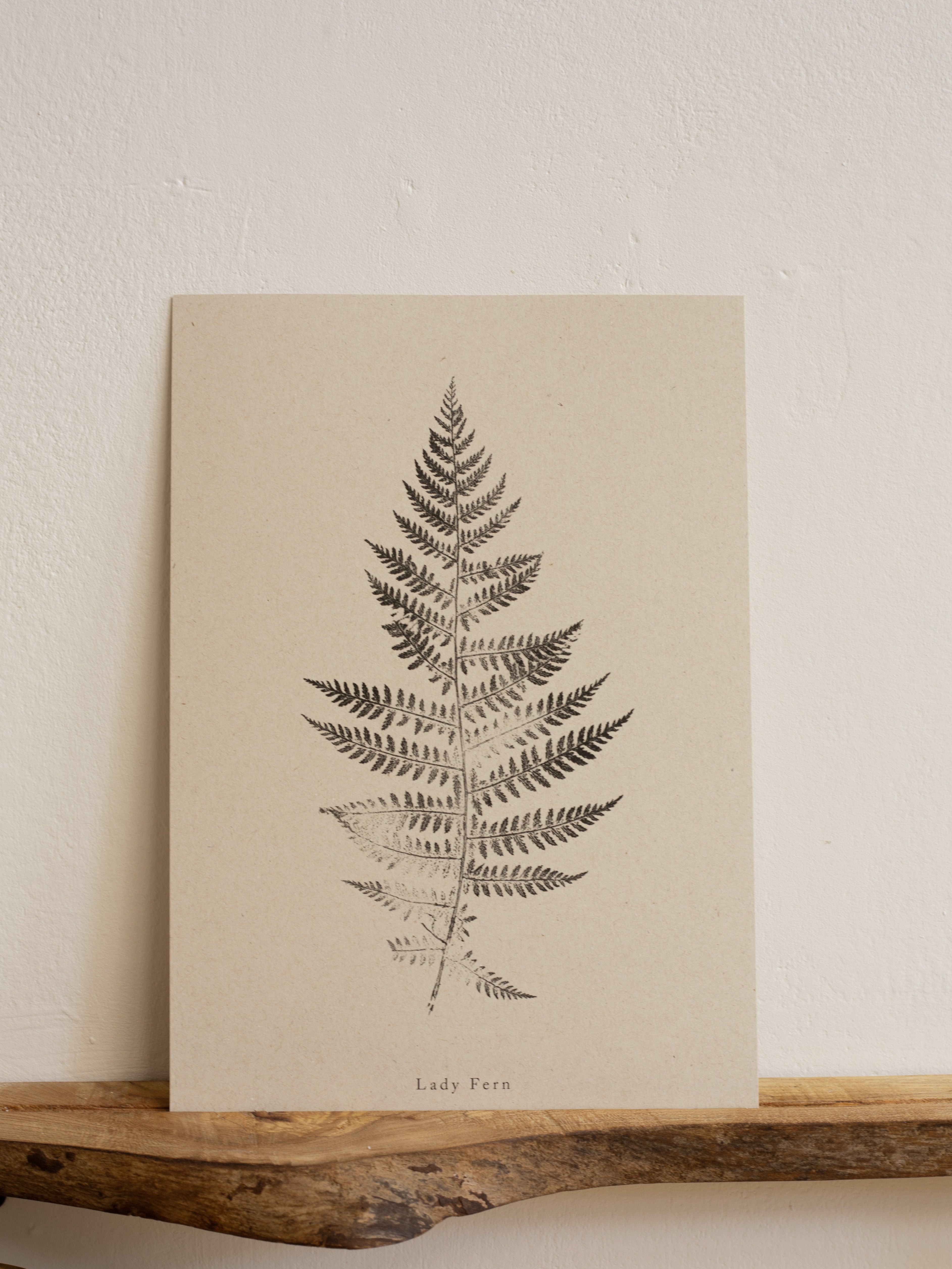 Botanical Art Print - Fern Print - Lady Fern - Wall Art A5, A4, A3 ...