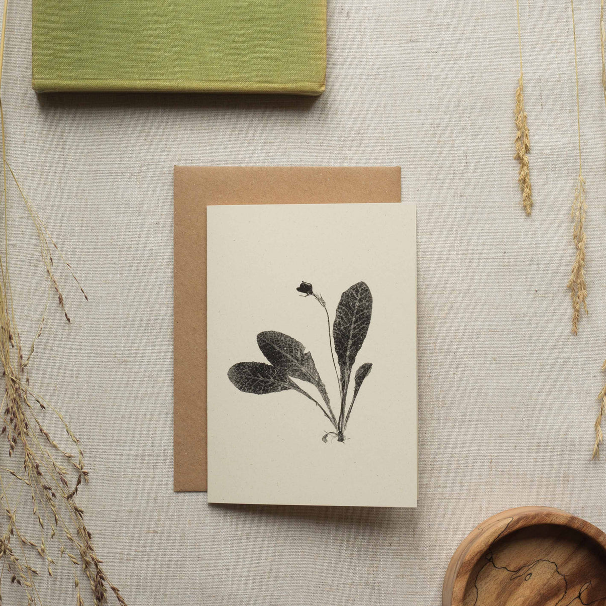 Botanical Greeting Cards – Alicia Breakspear